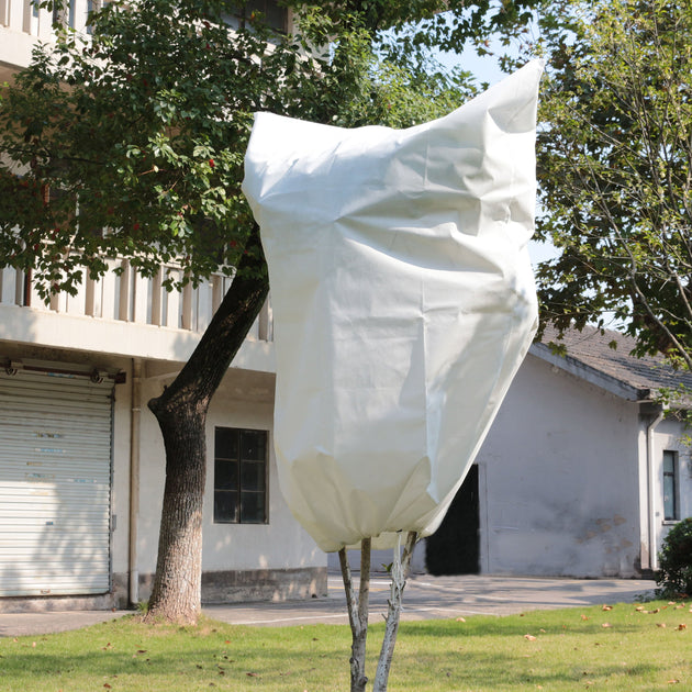 Container Plants and Cold Weather – Gardzen